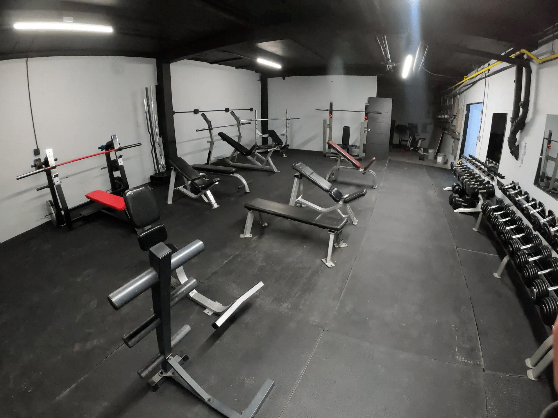 Home - The Iron Forged Gym